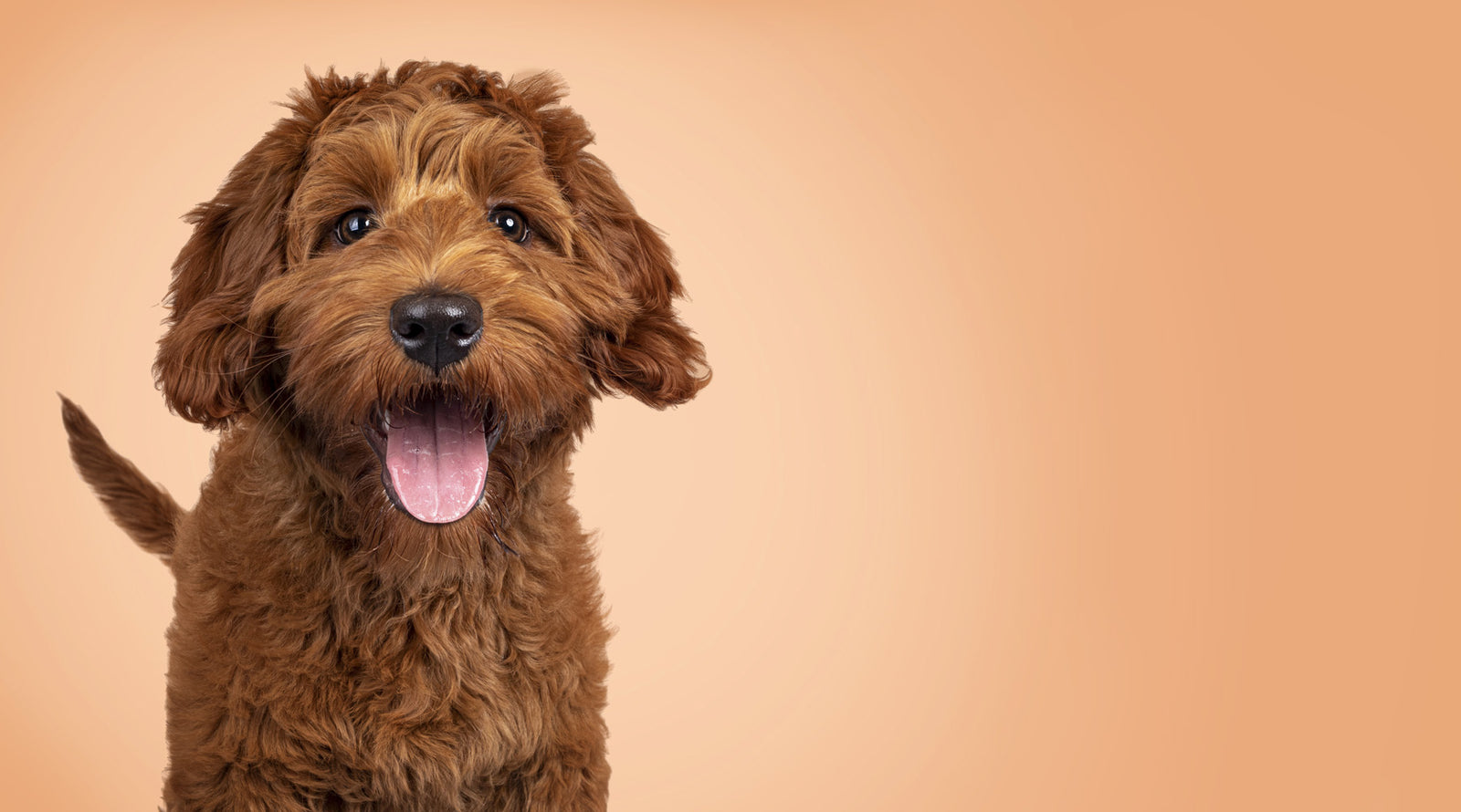 Doodle-essentials.nl - Specialist in benodigdheden voor Doodles