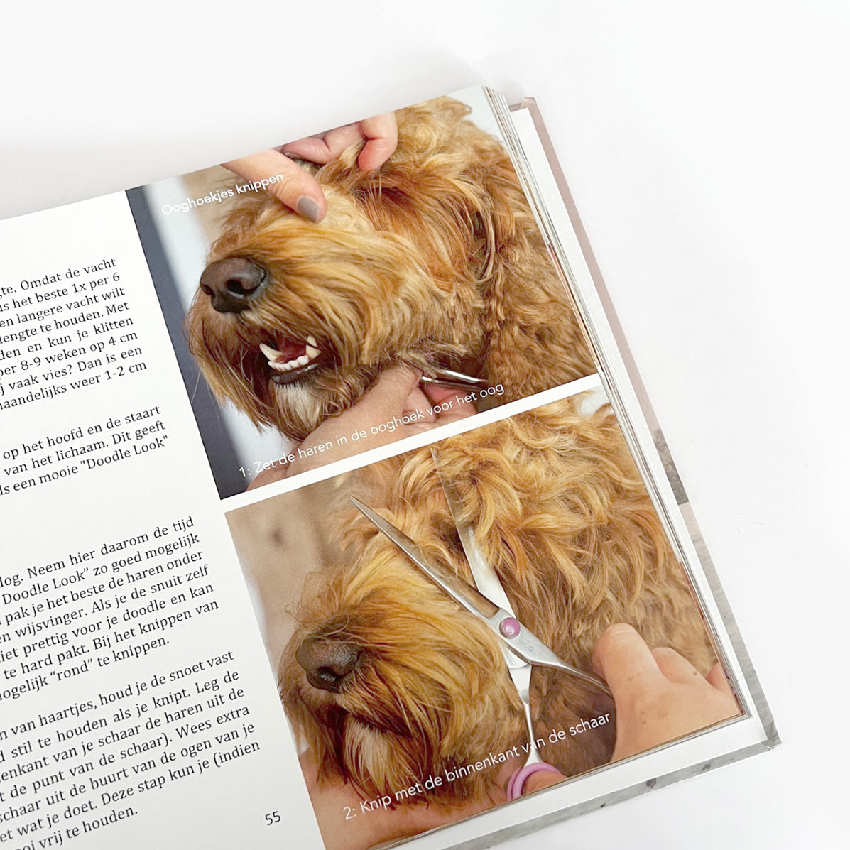 The Doodle Look Book - Doodle vachtverzorging | Doodle Essentials ...